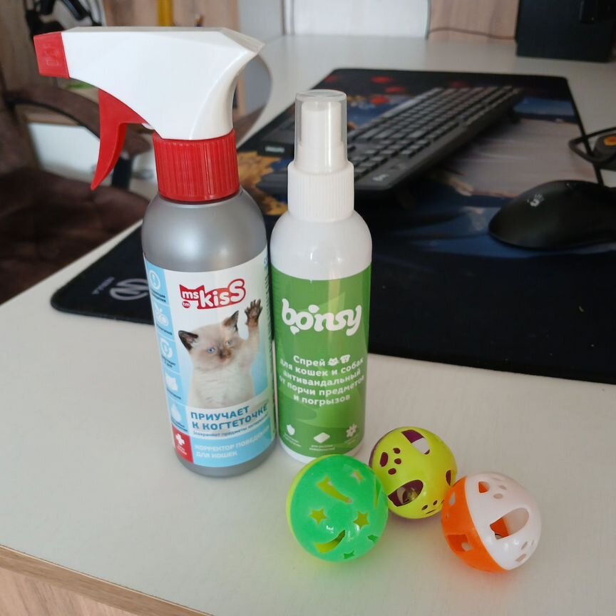 Набор начинающего кошкозаводчика