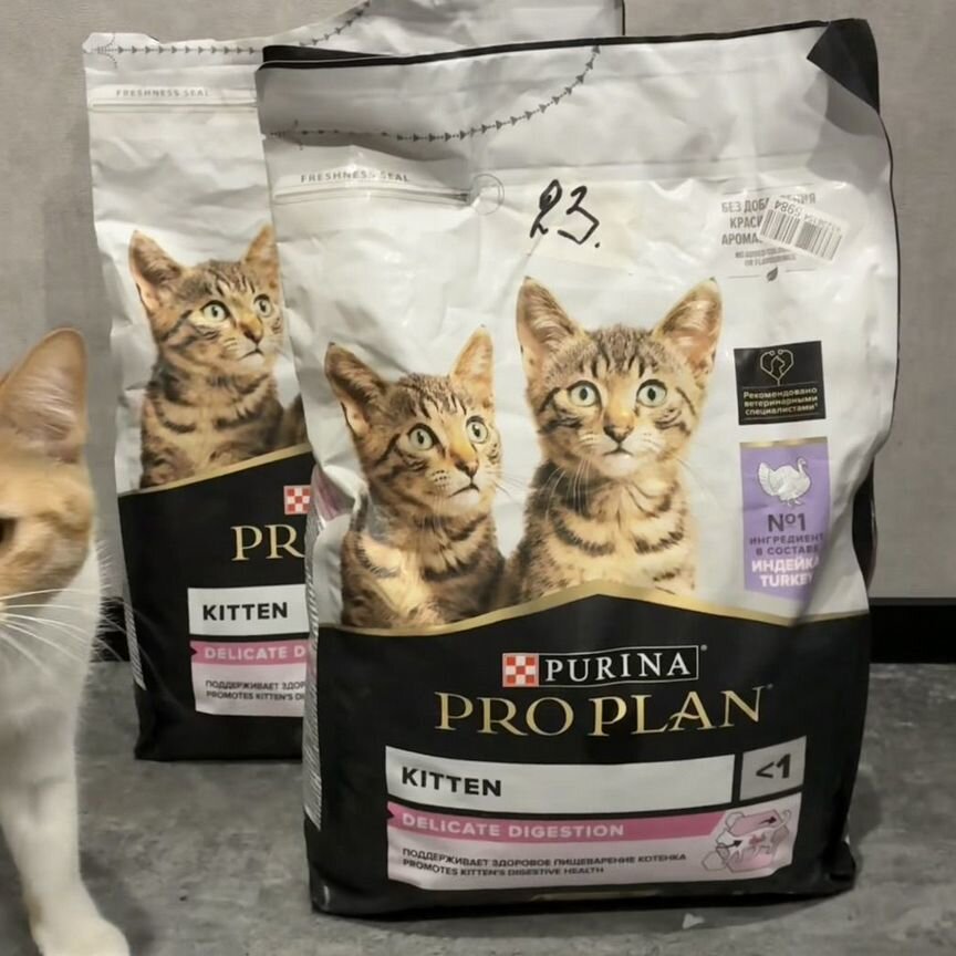 Сухой корм для котят purina pro plan 3 кг   бонус