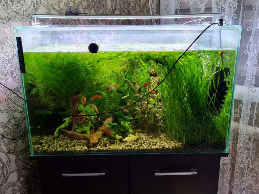 Аквариум 160л