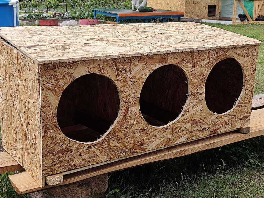 Гнездо для кур