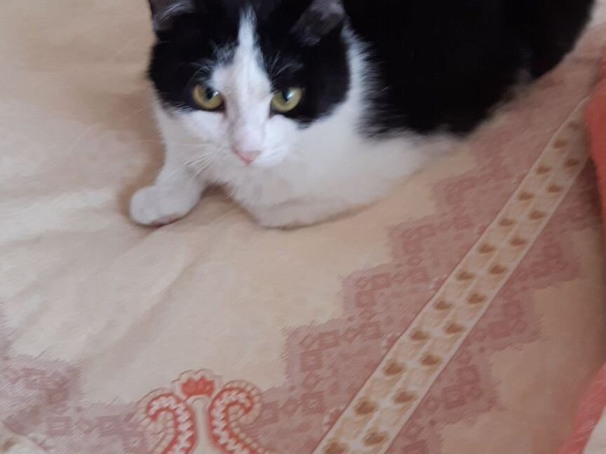 Девочке нужна жилплощадь