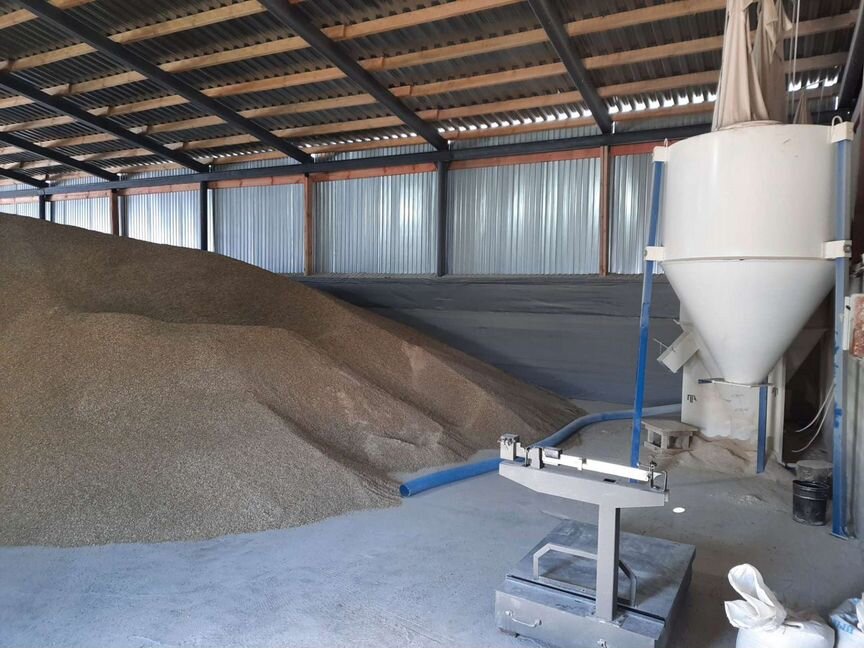 Зерно фуражное: овес, пшеница, ячмень