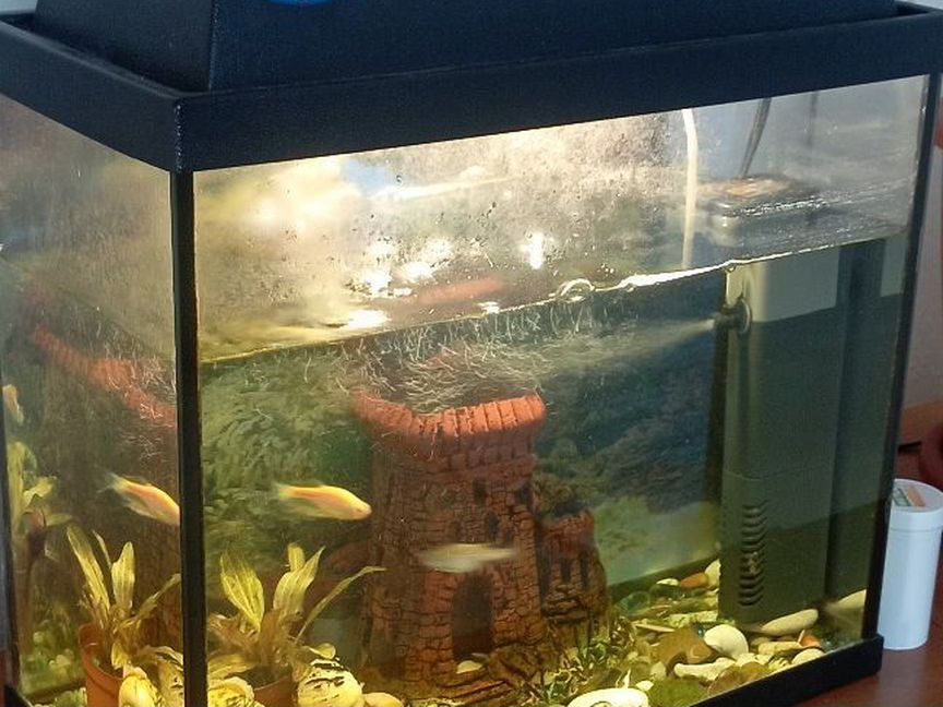 Аквариум с рыбками