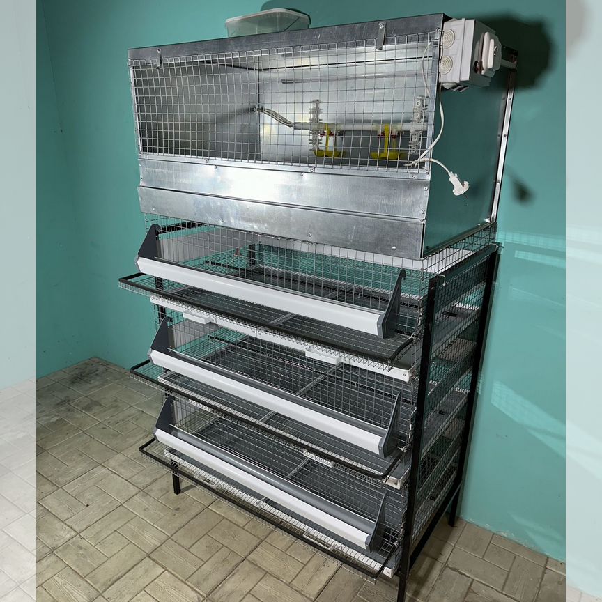 Клетка для перепелов