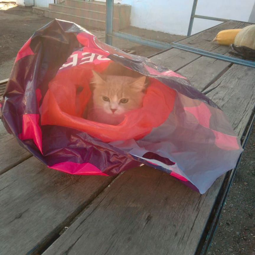 Выкинули малыша