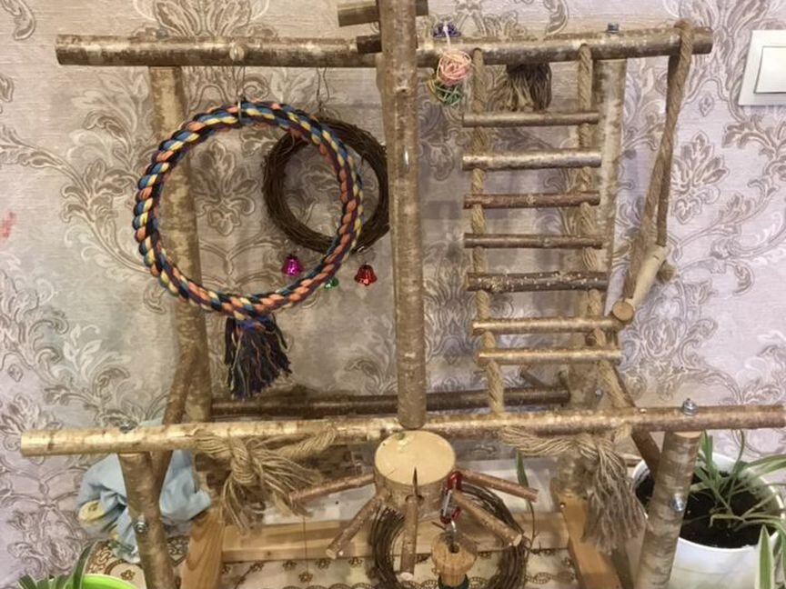 Стенд присяд для попугаев, корелл