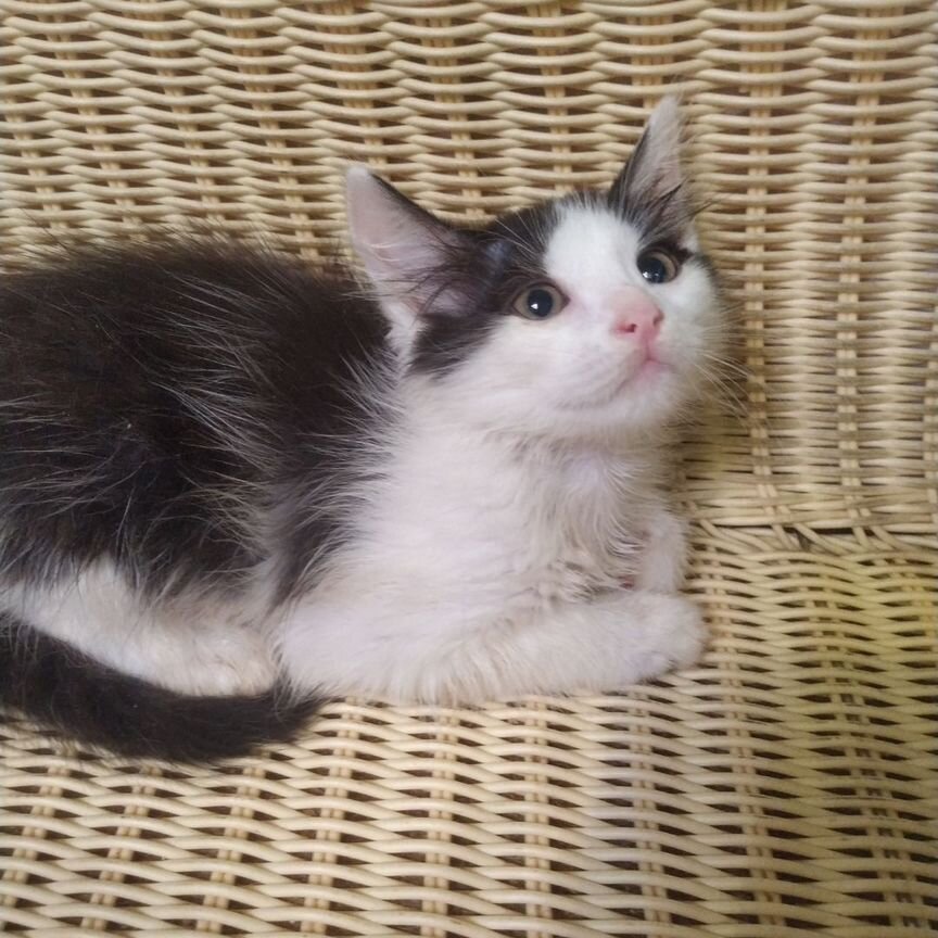 Санечка очень ждёт добрые ручки