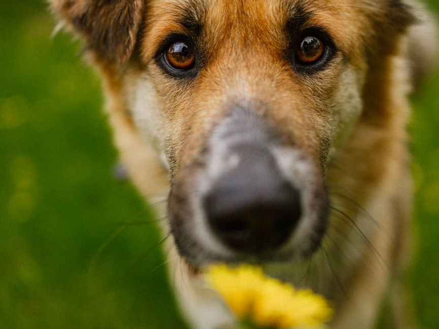 Леонид ищет семью