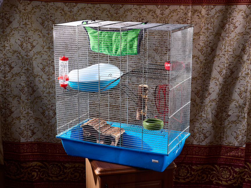 Большая клетка для крысы крыс дегу шиншилл