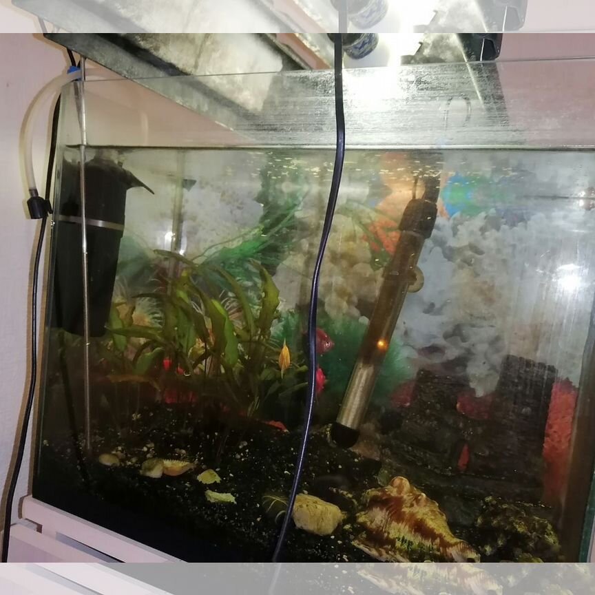Аквариум с рыбками