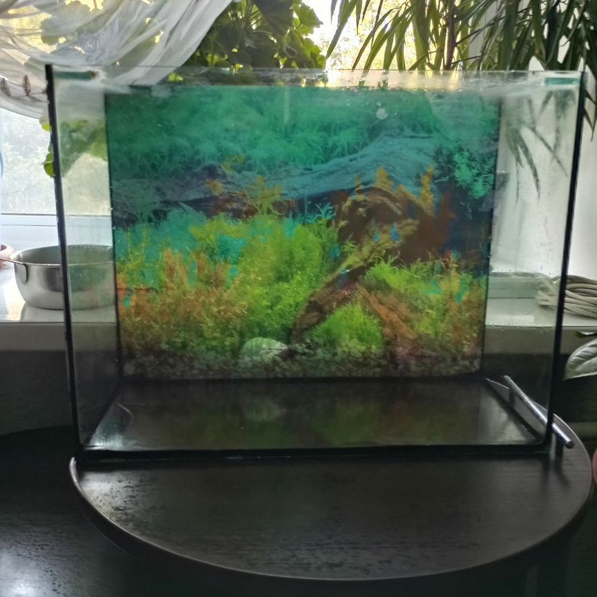 Аквариум на 25литров