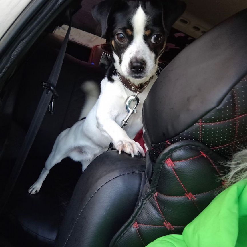 Мальчик в добрые руки