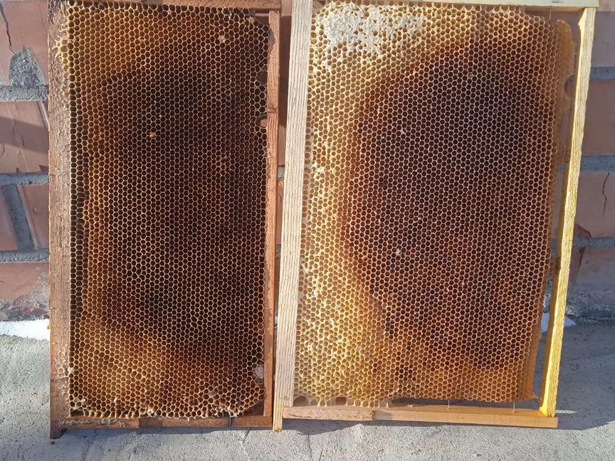 Рамки с вощиной