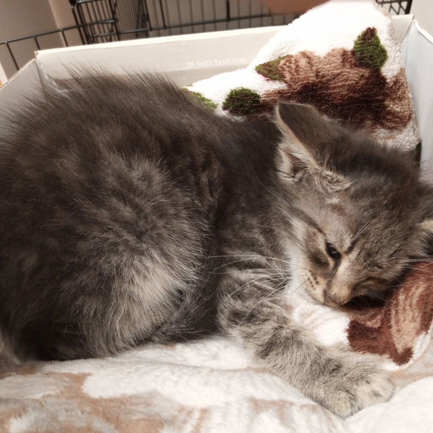 Право на жизнь