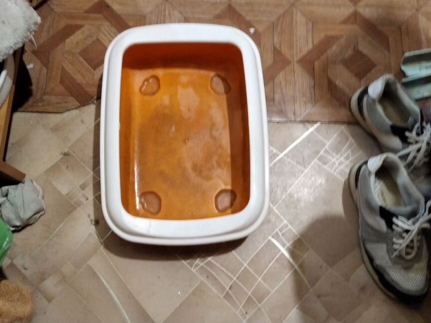 Кошачий лоток, бесплатно