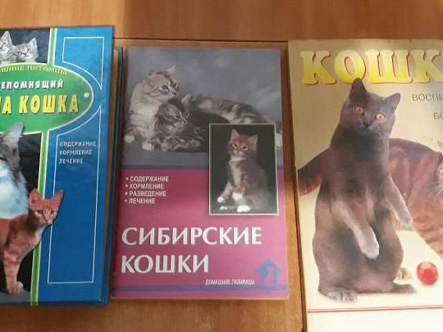 Сибирские кошки"В.И. Ревокур