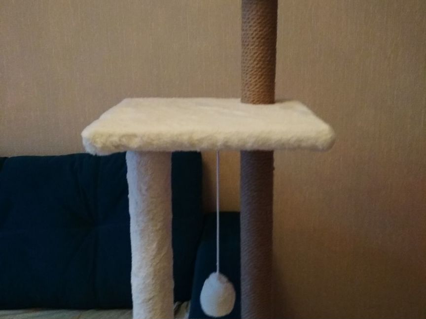 Когтеточка для кошек