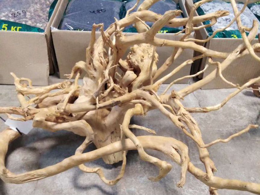 Коряги очень красивые.Декор.Камни