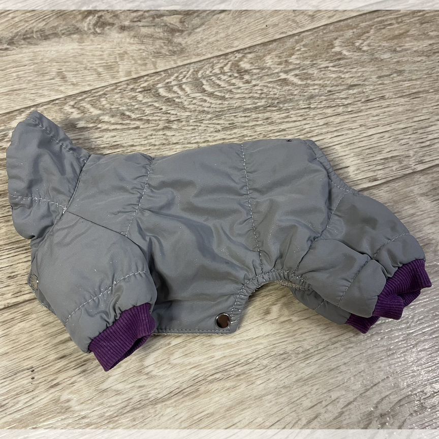 Одежда для собак