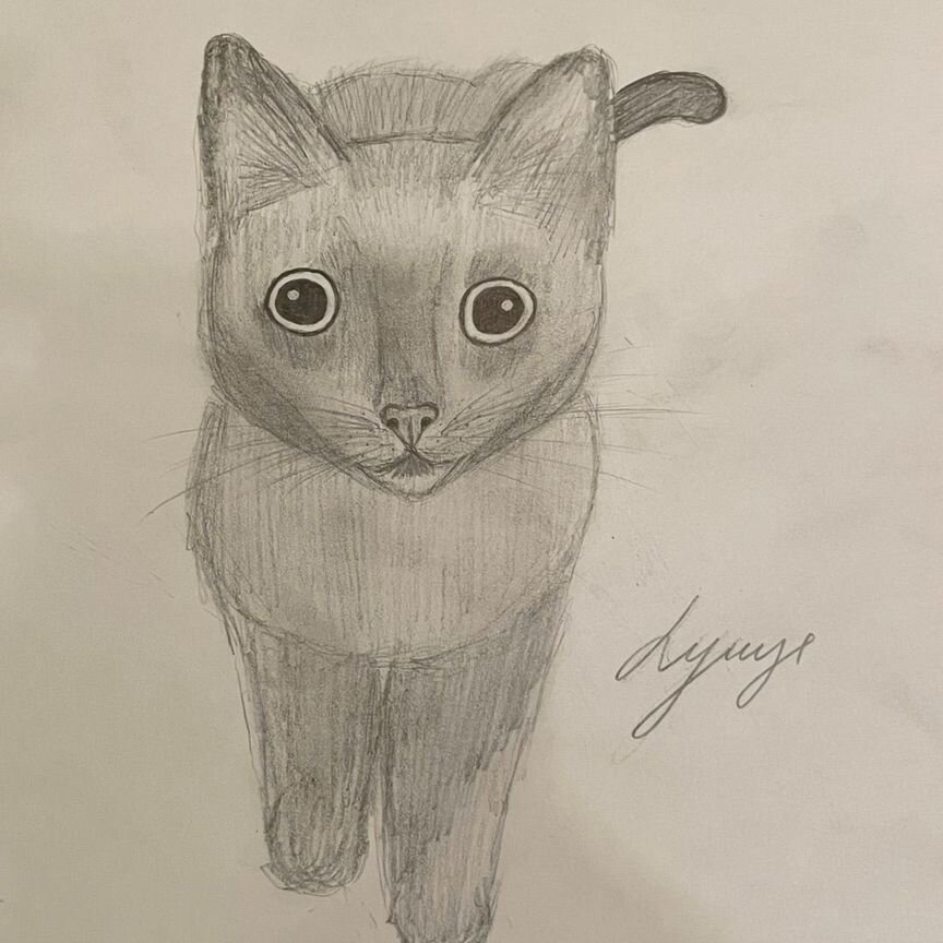 Рисую ваших питомцев