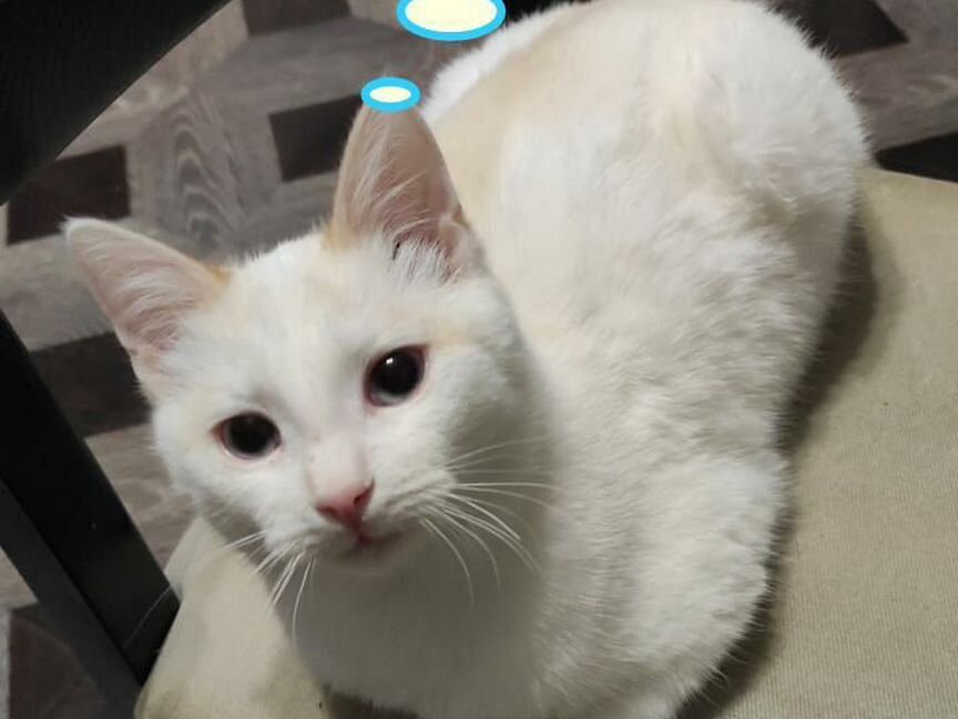 Домовенок кузя