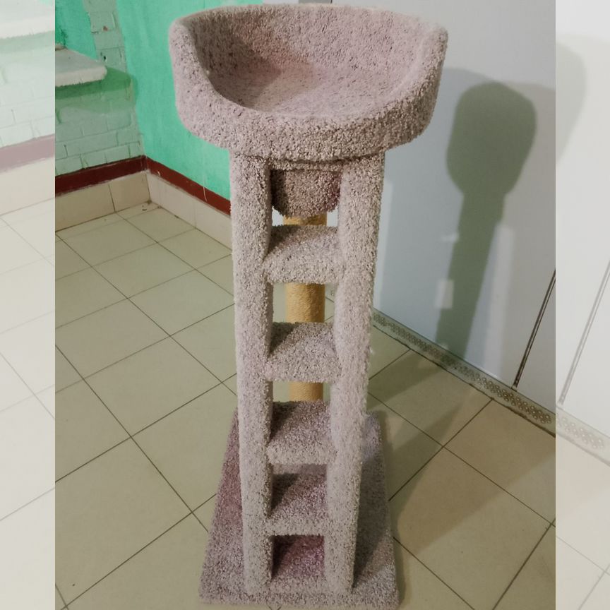 Когтеточка