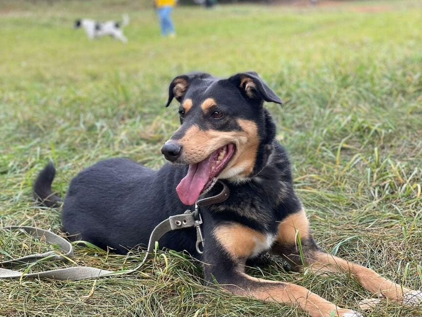 В поисках человека, которому доверит свое сердце