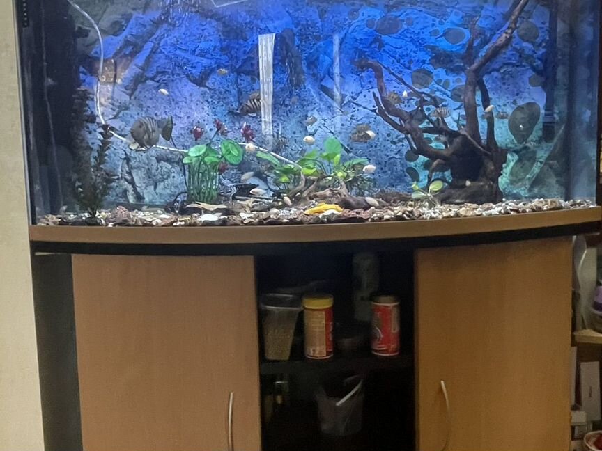 Аквариум с тумбой 300 литров