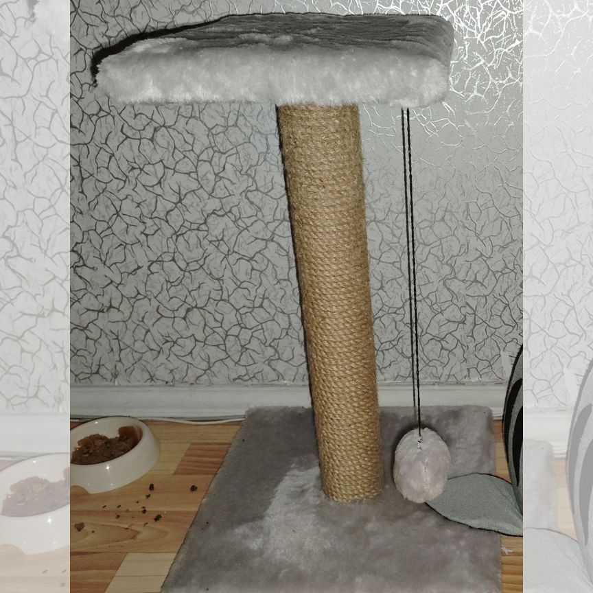 Когтеточка