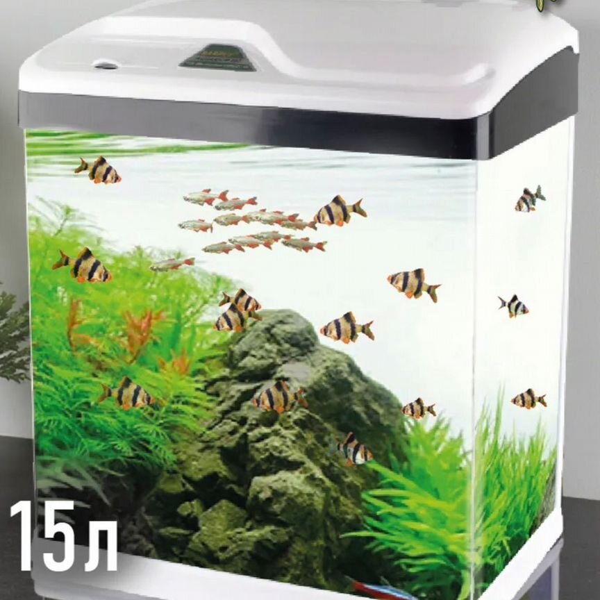 Аквариум 15 литров Барбус