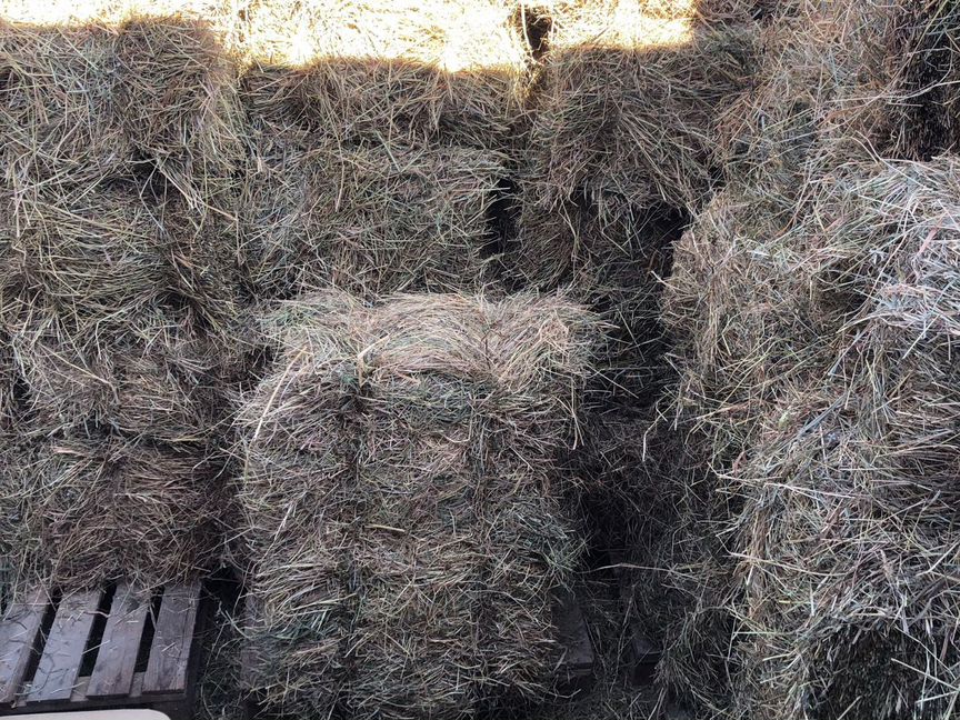 Сено, Солома