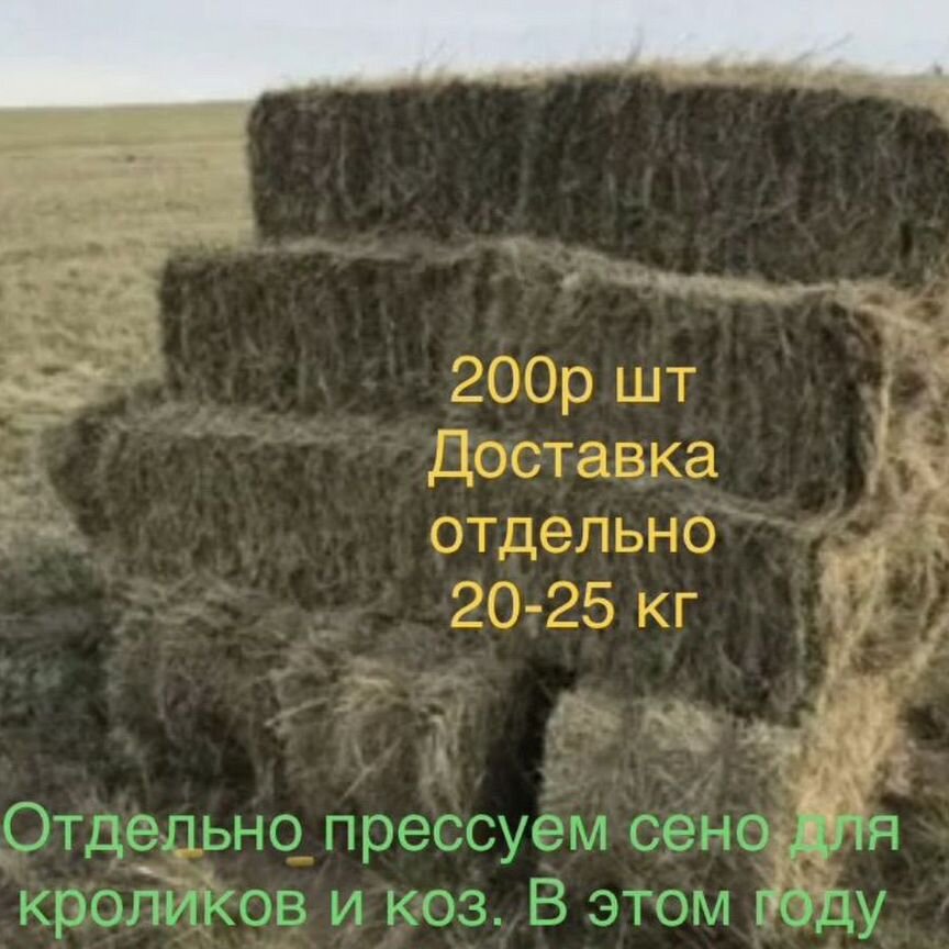 Сено в квадратных тюках