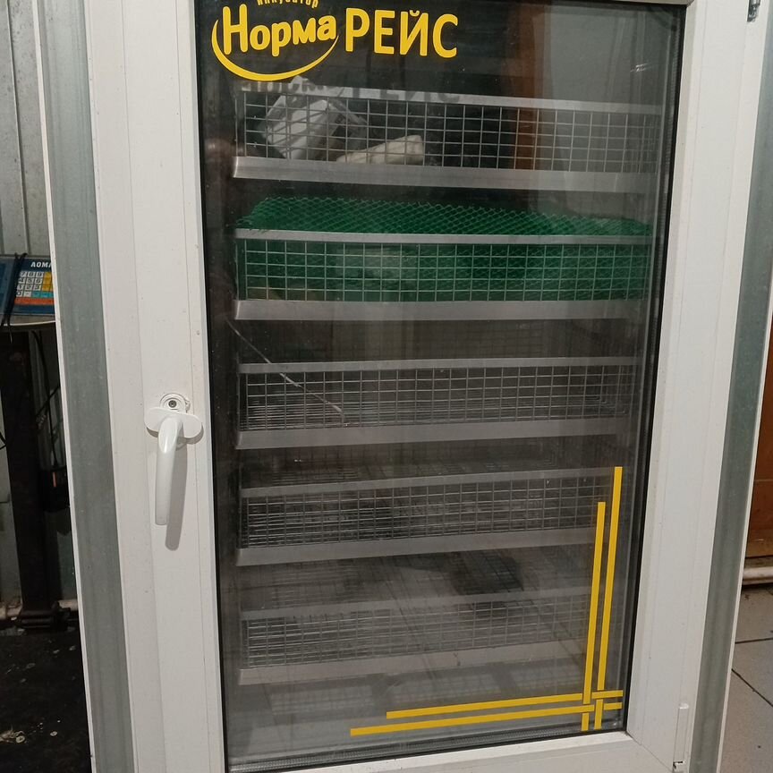 Инкубатор для яиц