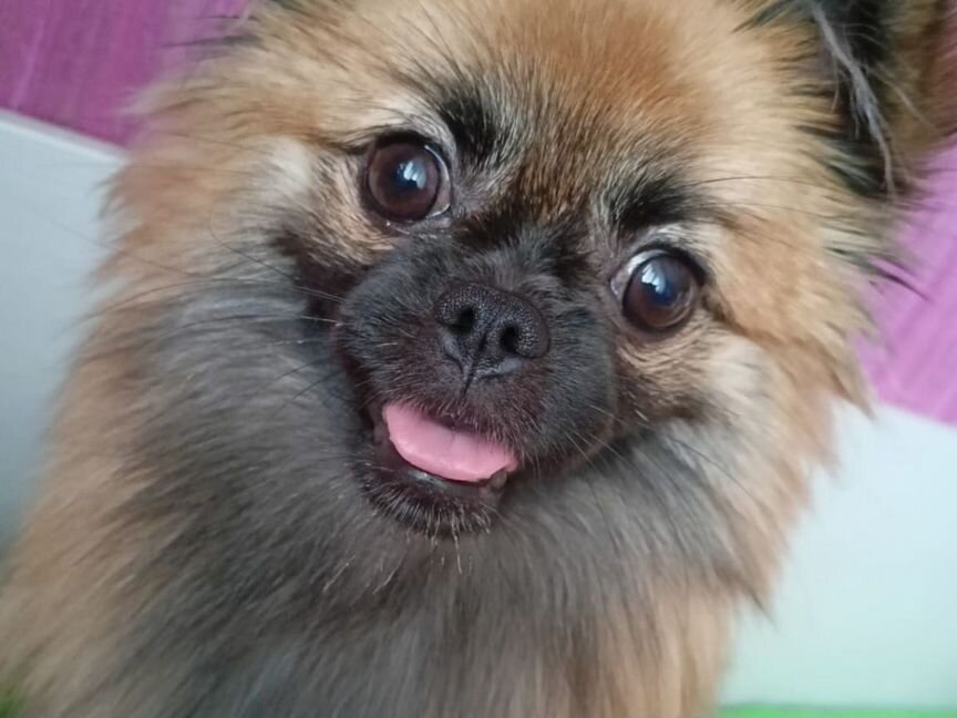 Ищем опытного жениха