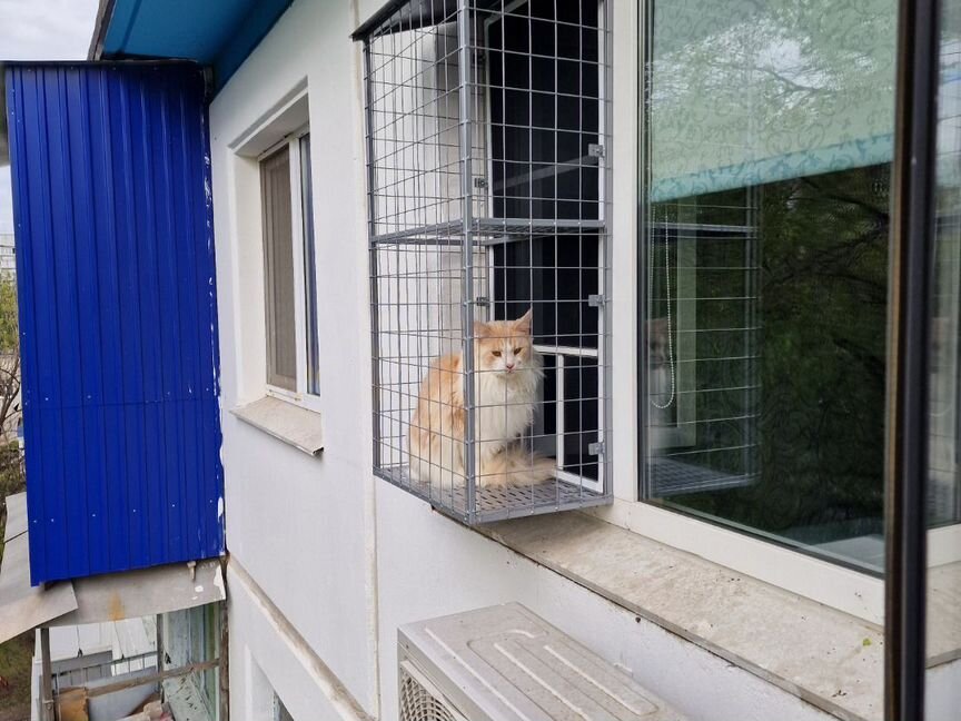Балконы для выгула кошек