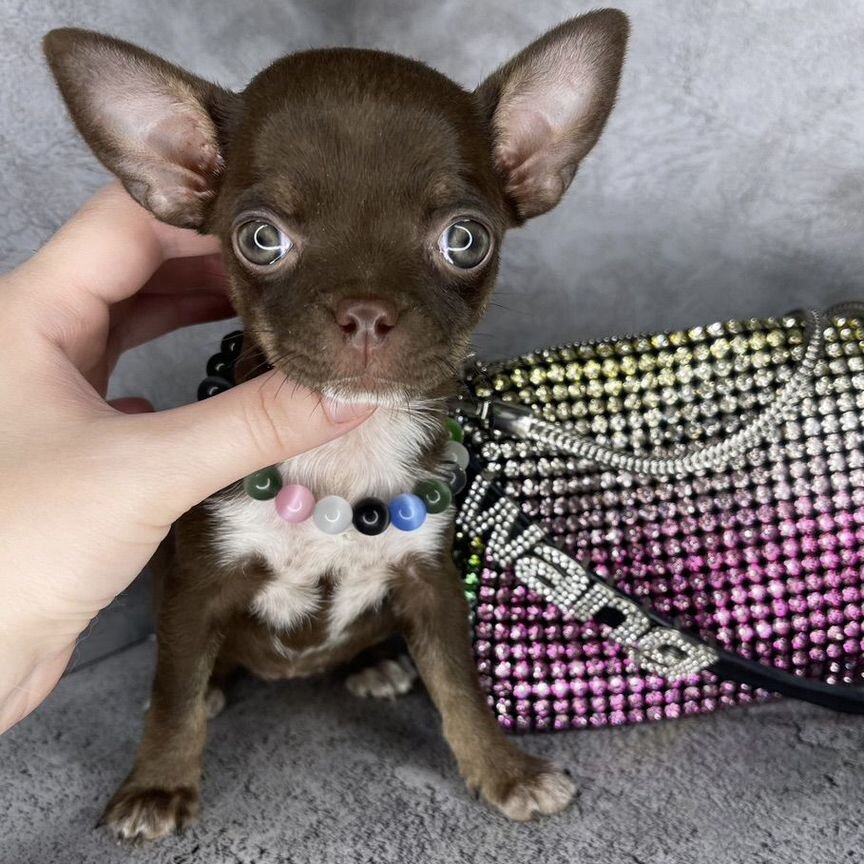 Кукольная super mini девочка