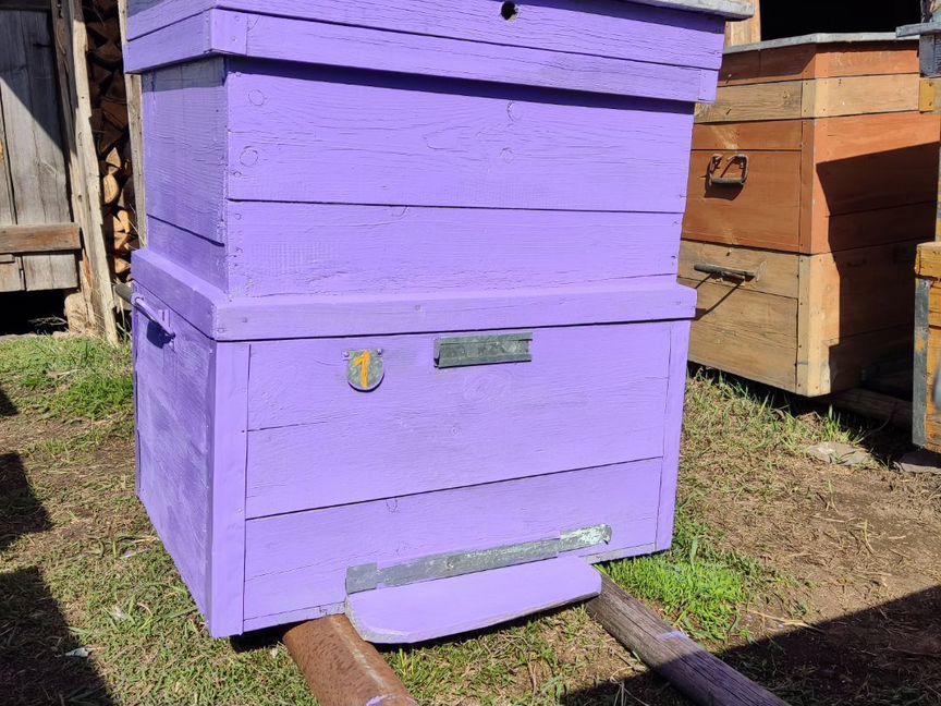 Улей дадан с корпусом,16 рамок