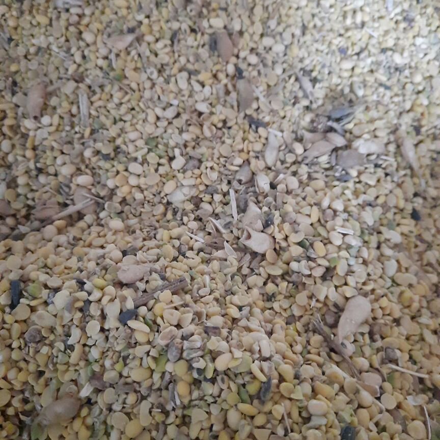 Соя дроблёнка