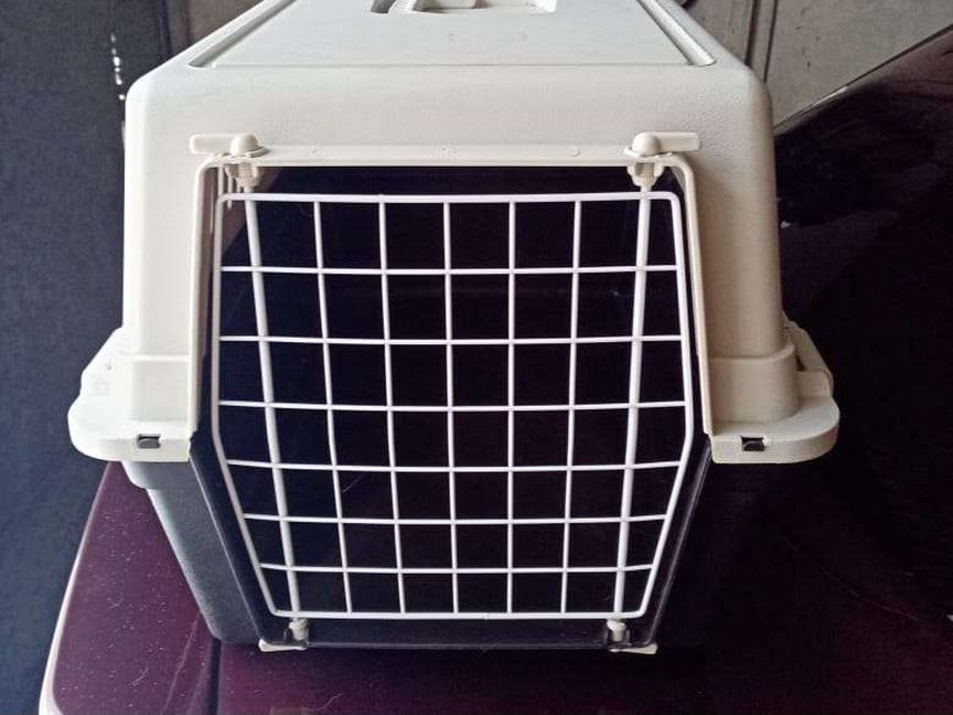 Набор для вашей кошечки