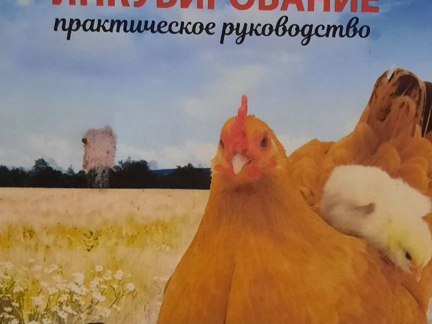 Инкубатор Блиц База на 520 яиц