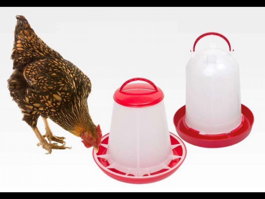 Кормушки и поилки для кур