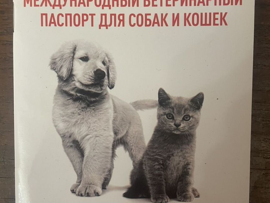 Ветеринарный паспорт
