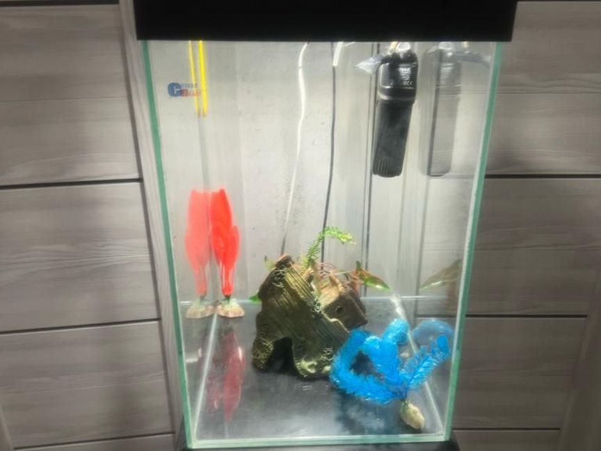 Аквариум 60 л. с тумбой