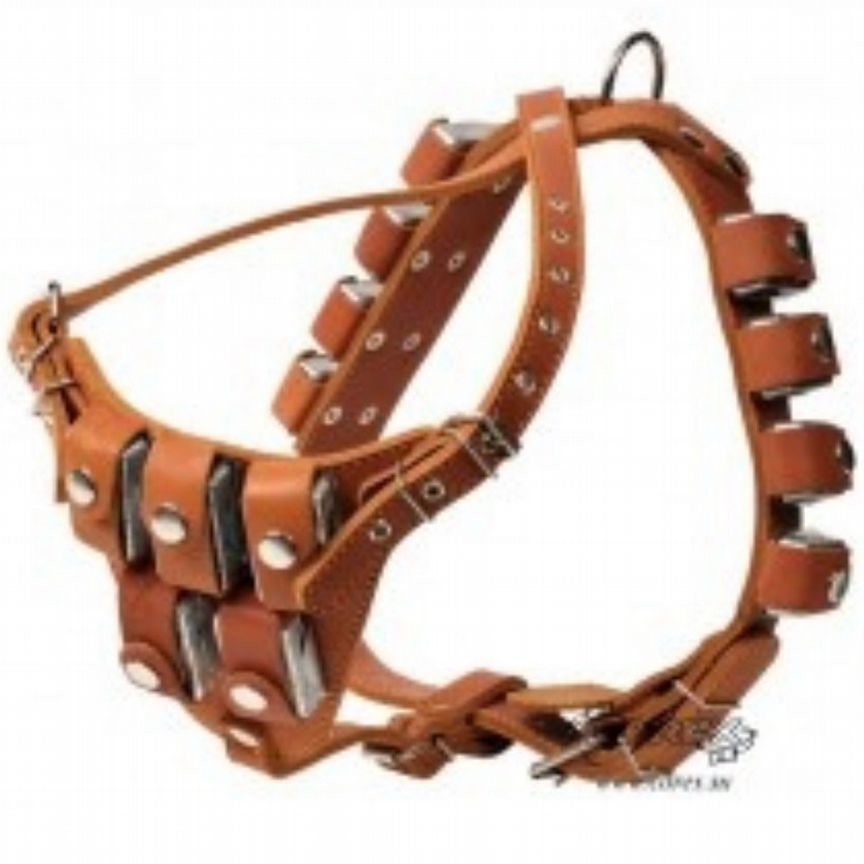 Шлейка для собак с грузами