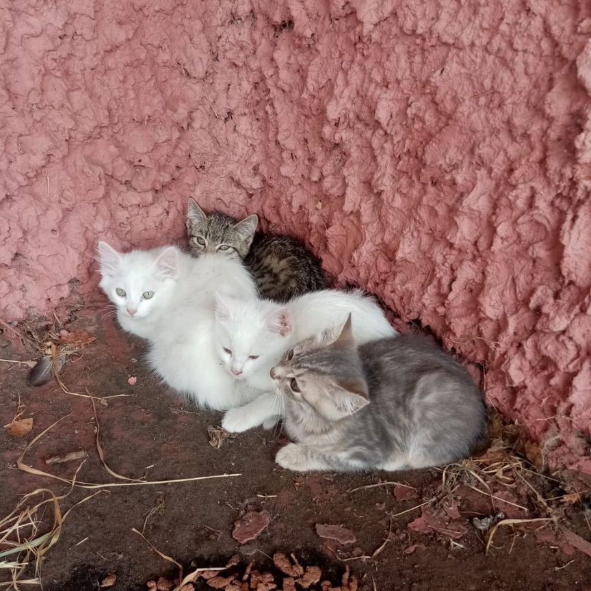 Помогите,спасти