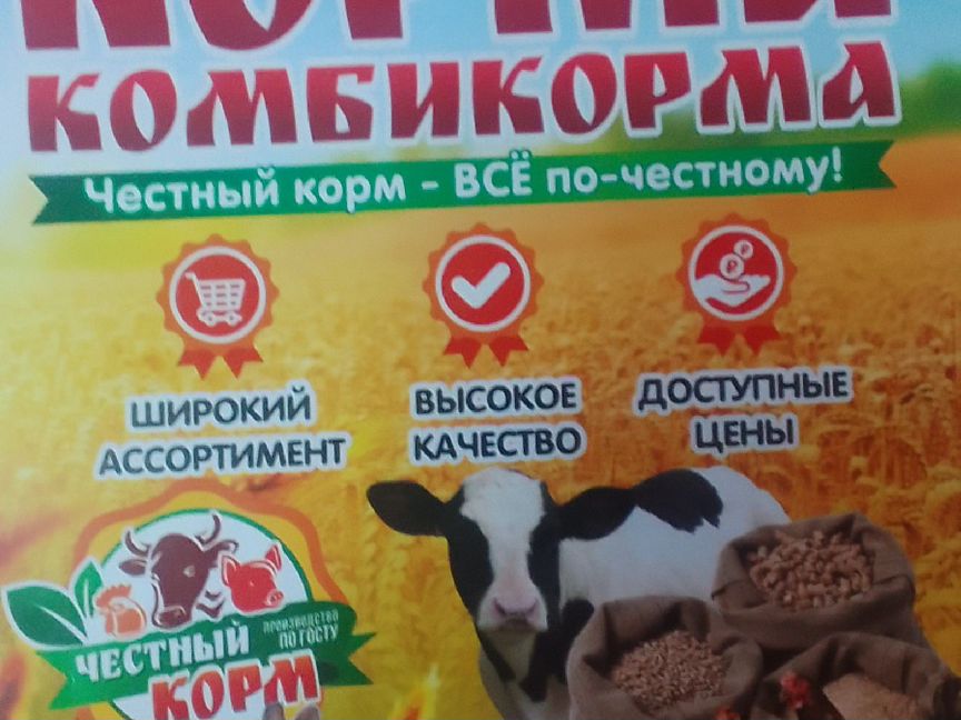 Продаю кормаВсе виды,Пурина,а так же зерно