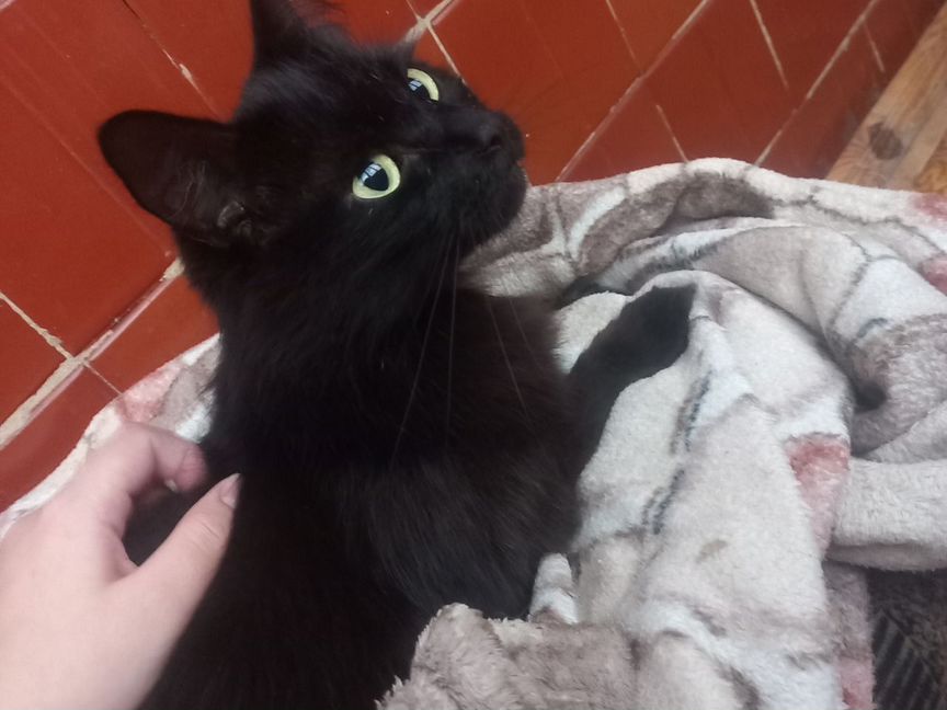 Ласковая плюшка-обнимашка