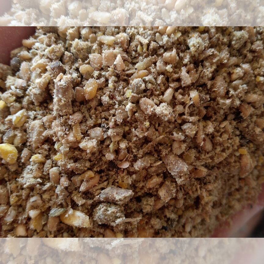 Комбикорм для кур несушек натуральный