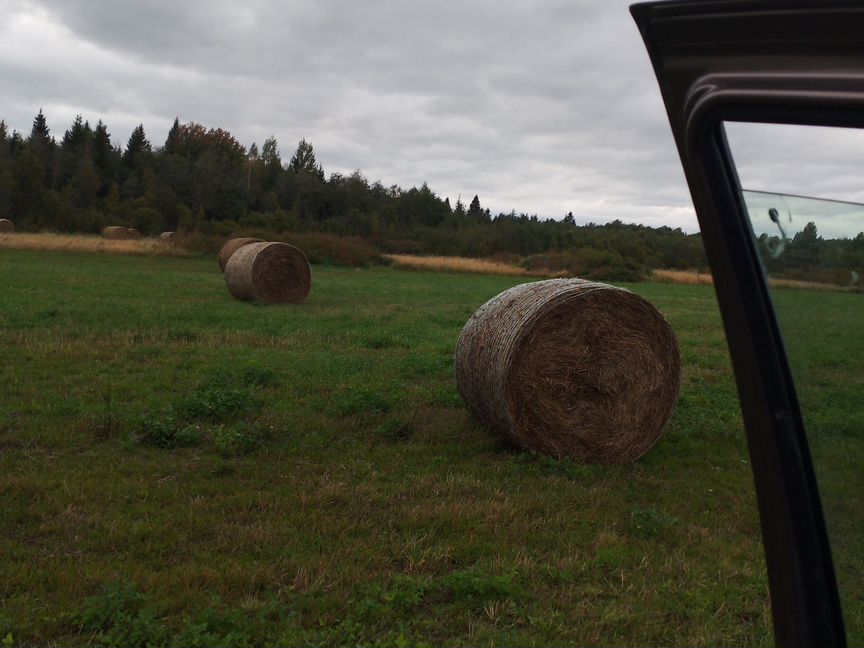 Продам сено в рулонах