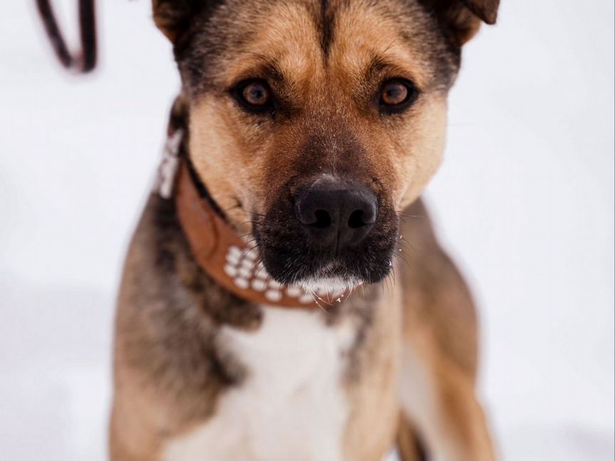 Вениамин ищет дом